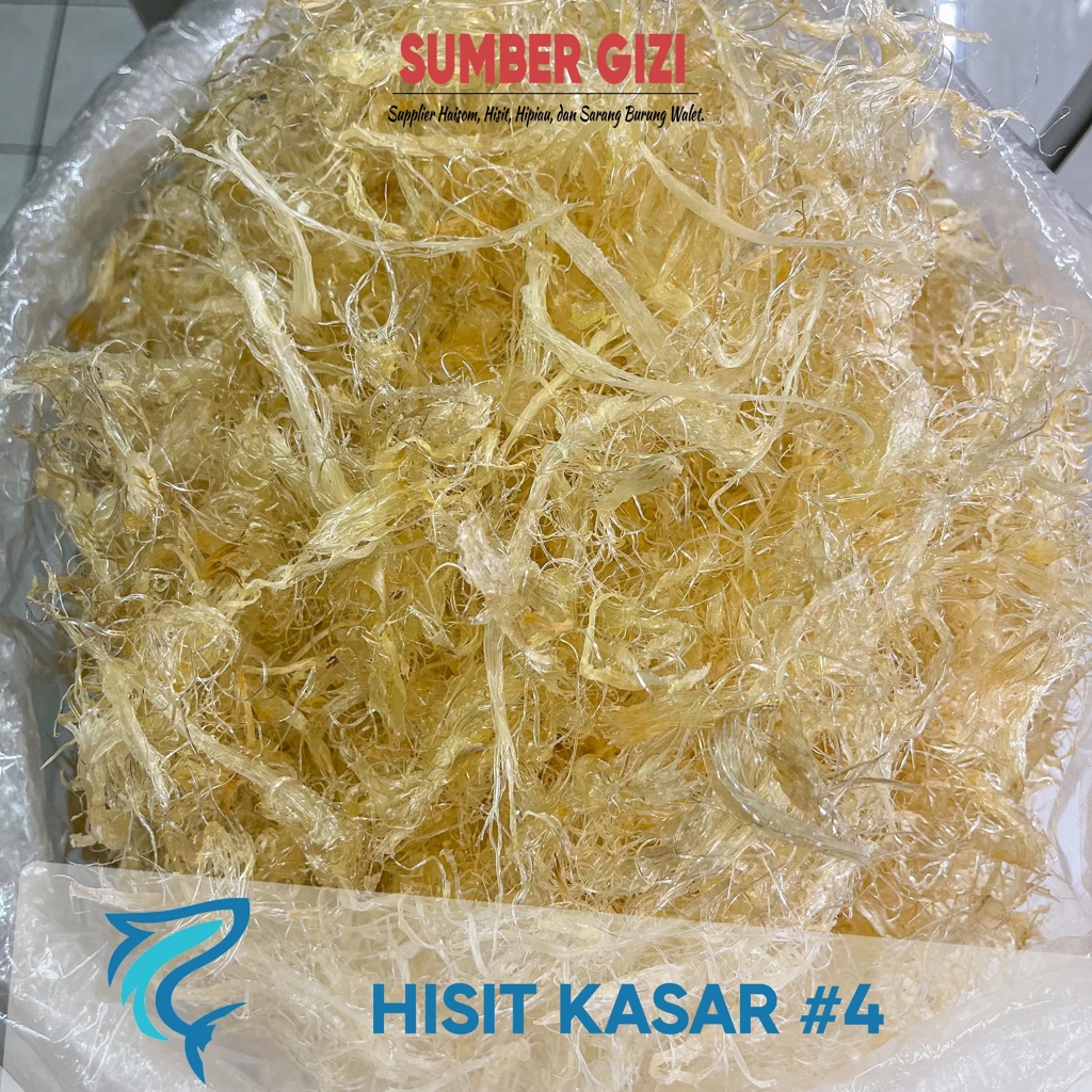 Jual Hisit Kering Kasar Sirip Ikan Hiu Kasar 4 Grade A/ Huchi/ Hu Chi ...
