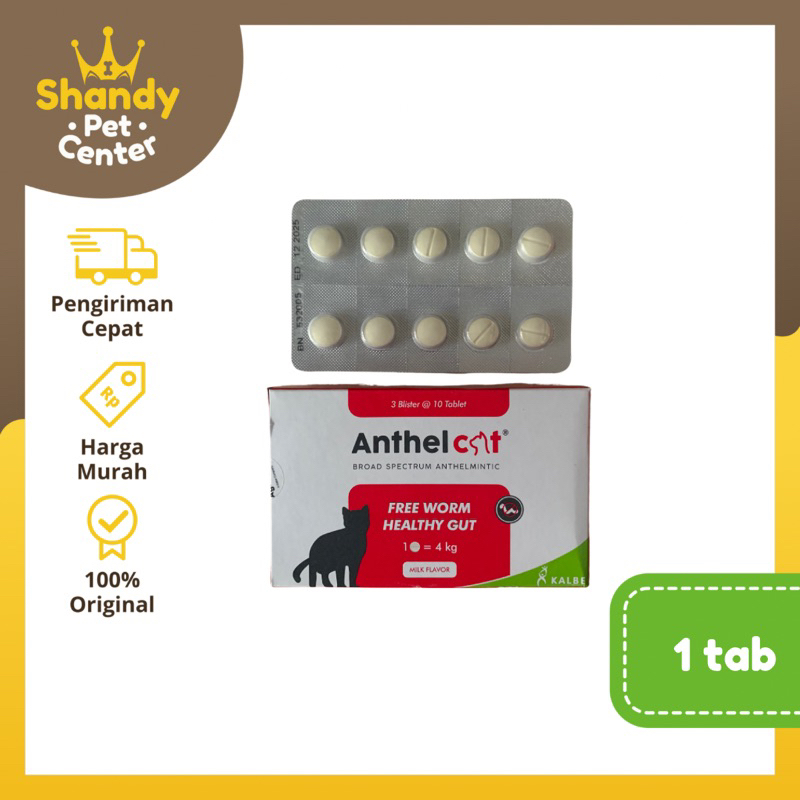 Jual ANTHEL CAT OBAT CACING UNTUK KUCING | Shopee Indonesia