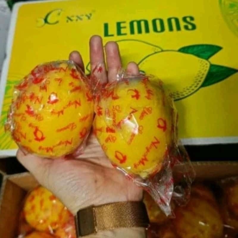 Jual lemon cina per kg | Shopee Indonesia
