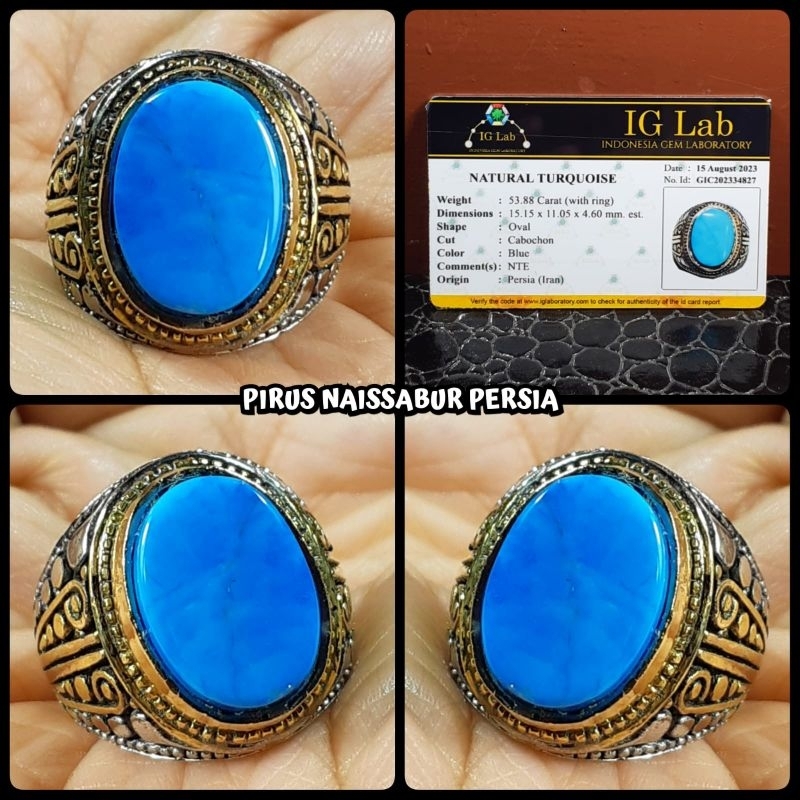 Jual ORI 100% PIRUS POLOS KELAS KONTES ( persia ) | Shopee Indonesia