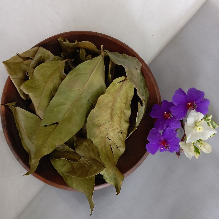 Jual Simplisia Daun Melinjo Kering | Shopee Indonesia