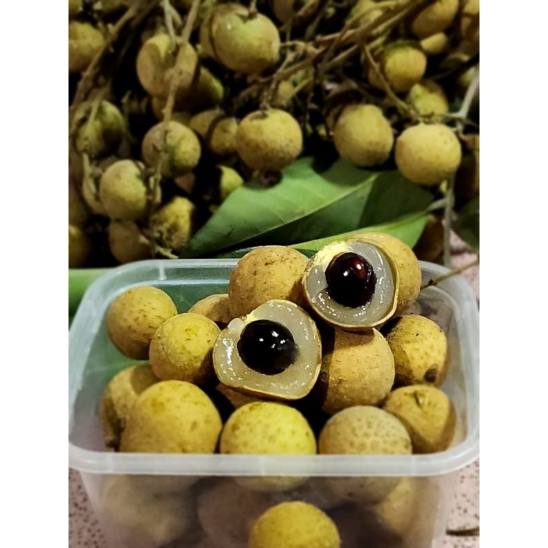 Jual Buah Kelengkeng Kateki Manis 1Kg | Shopee Indonesia