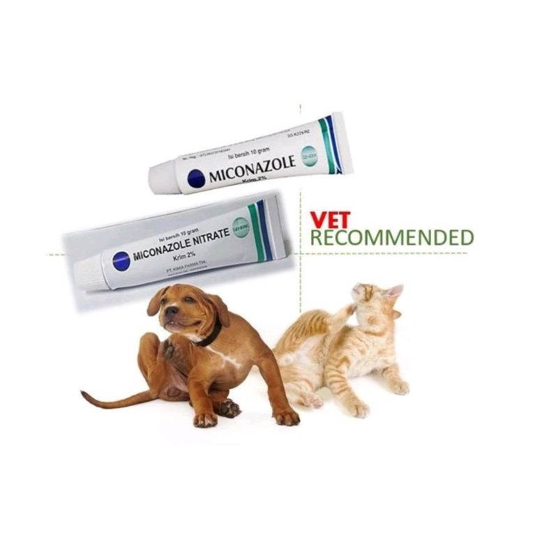 Jual Obat Salep Miconazole Nitrate 10g Jamur Luka Infeksi Kucing Anjing ...