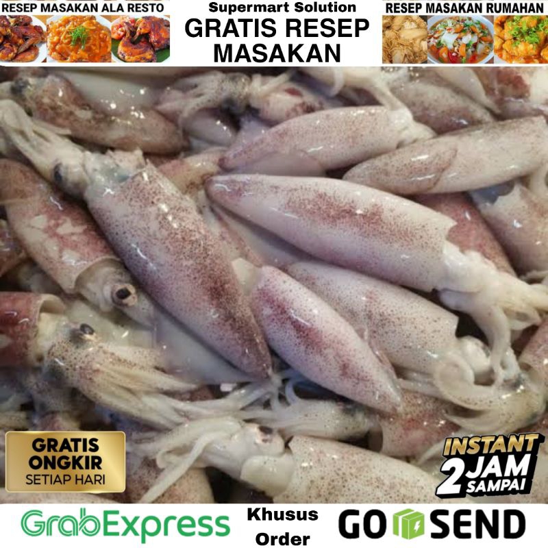 Jual Cumi Cumi Jarum Ukuran Sedang | Shopee Indonesia