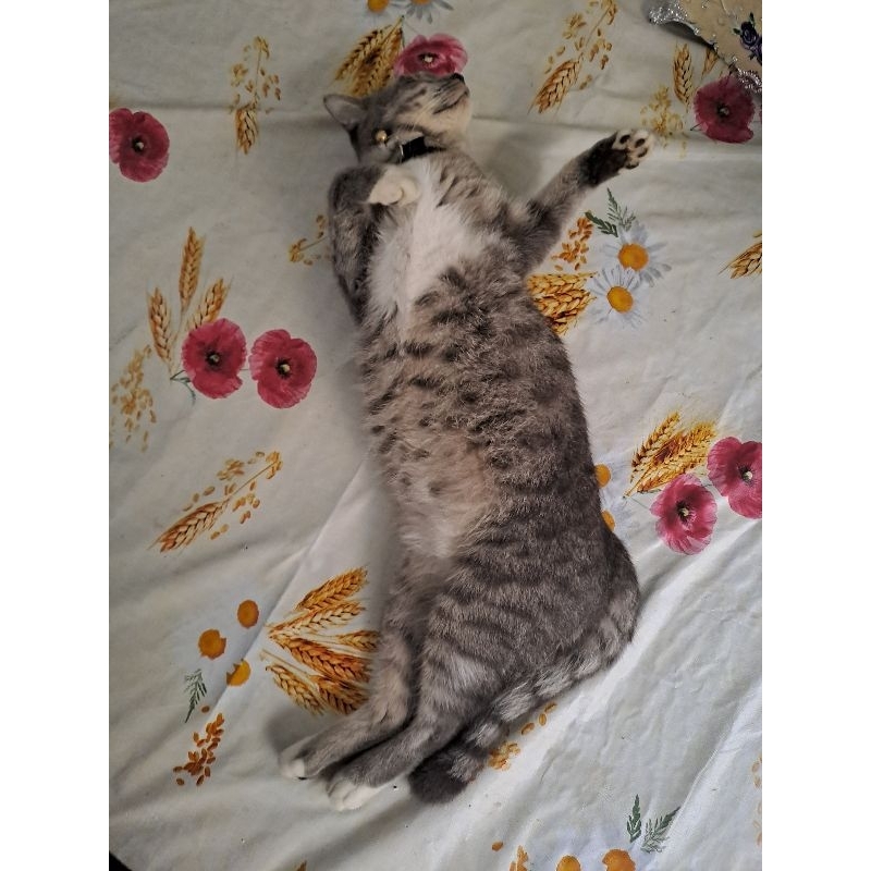 Jual EXTRA PACKING (jangan lupa kasih note usn dan batch yaa) | Shopee Indonesia