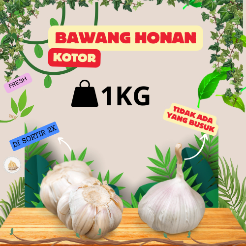 Jual Bawang Putih Banci Honan 1 Kg (ada bongol tidak busuk) | Shopee ...