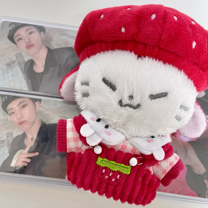 Jual [ 🇮🇩 READY, LAST STOCK ] Hojji - SEVENTEEN 10 cm Tiger Hoshi Doll ...