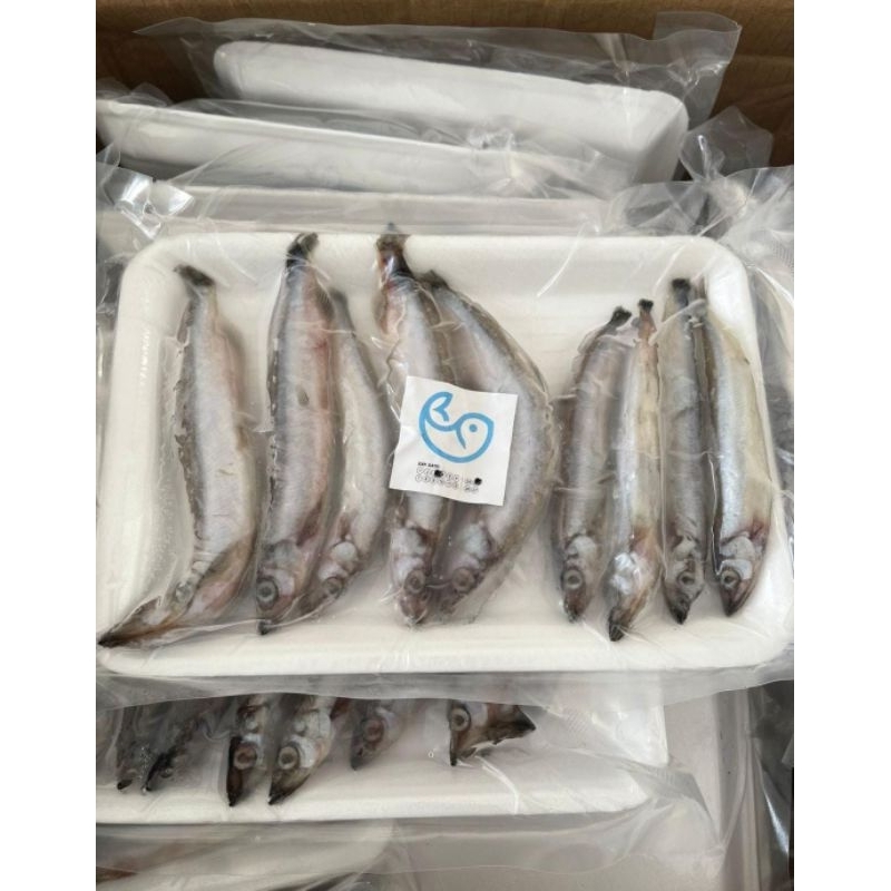 Jual Ikan Shisamo / pack ( Produk frozen ) | Shopee Indonesia