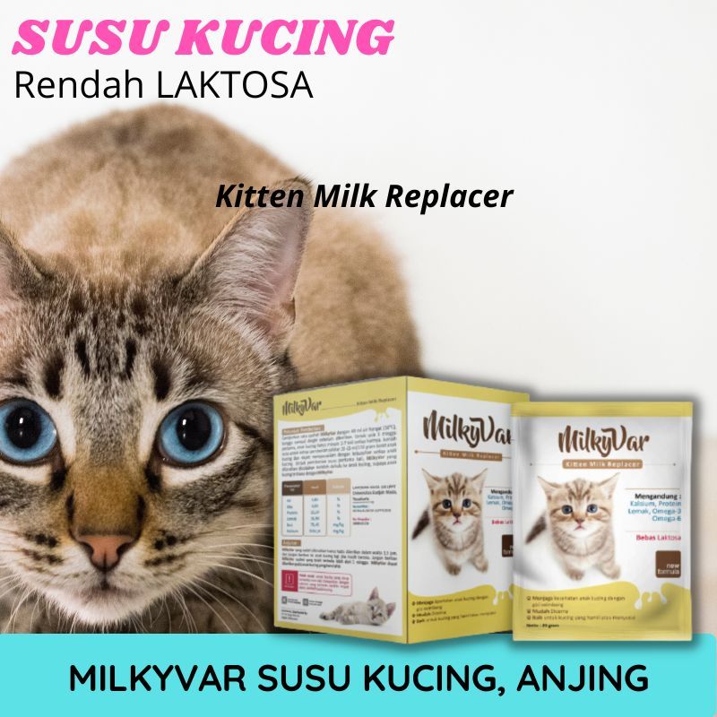 Jual Milkyvar Kitten Milk Replacer 1 Sachet Susu Kucing Adult & Anak ...