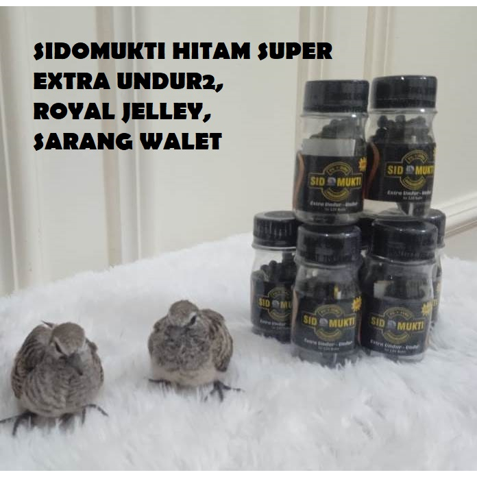 Jual Sidomukti Hitam Super Extra Pil&Jamu Anggungan 120butir | Shopee ...
