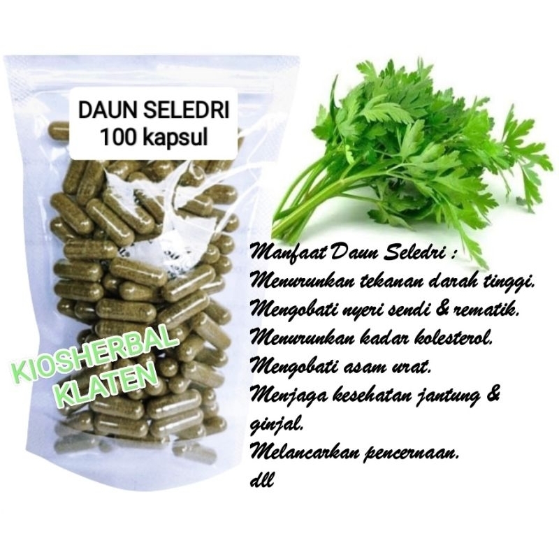 Jual Daun SELEDRI isi 100 kapsul untuk asam urat asam lambung nyeri ...