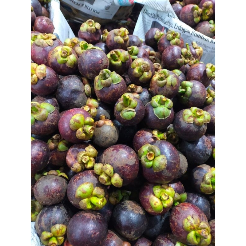 Jual BUAH MANGGIS FRESH / 1KG | Shopee Indonesia