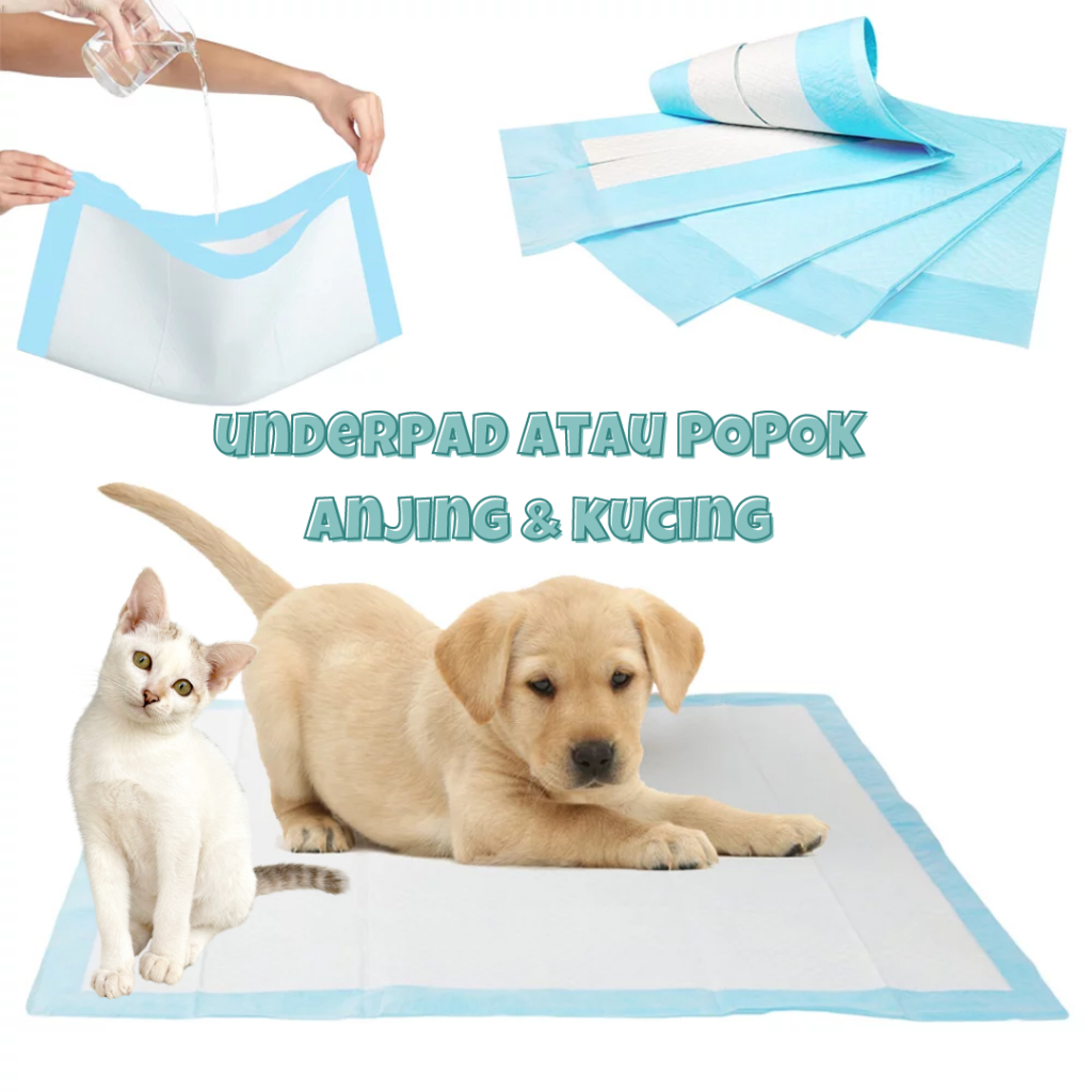 Jual Pad Pipis Kucing Anjing Popok Sekali Pakai Alas Pipis Pee Poop ...