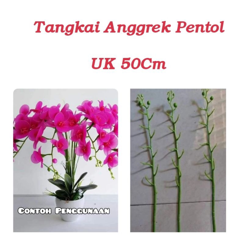 Jual Batang Anggrek 50 Cm Tangkai Anggrek Variasi Pentol Kawat Batang ...