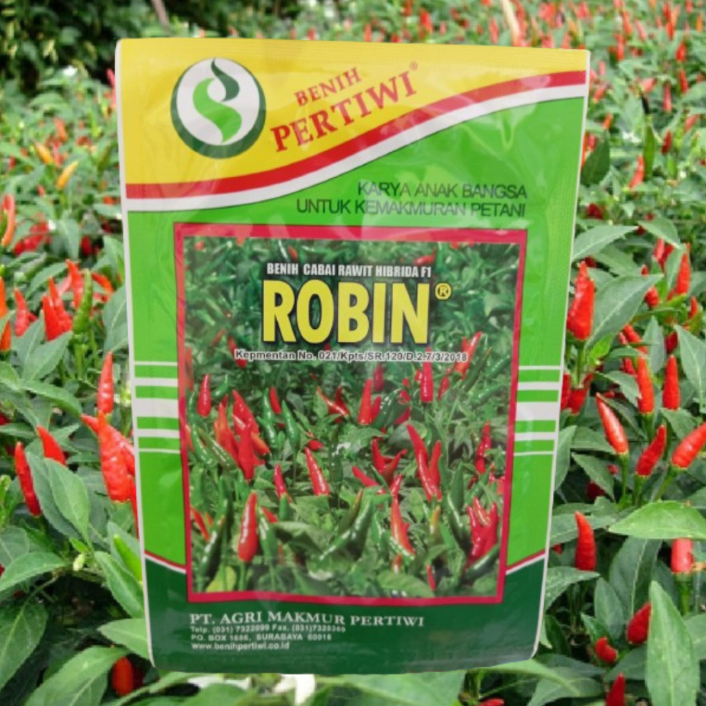 Jual Benih Cabai Rawit Hibrida F1 ROBIN Original | Shopee Indonesia