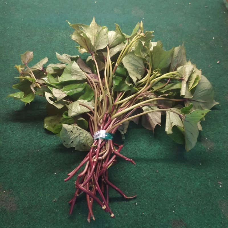 Jual Daun Ubi Jalar / Ketela Rambat Segar Denpasar Bali (Khusus Gojek ...