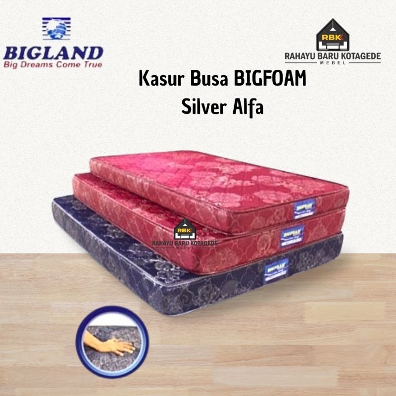Jual PROMO Kasur Busa Tebal 20cm Bigfoam by Bigland Springbed Kasur ...