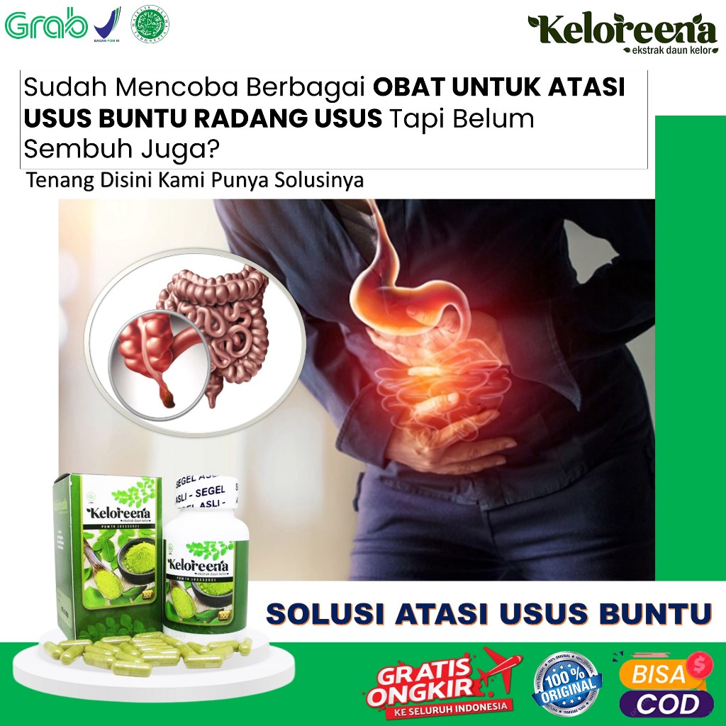 Jual Obat Herbal Sakit Usus Buntu Radang Usus Buntu Kronis Apendiks ...