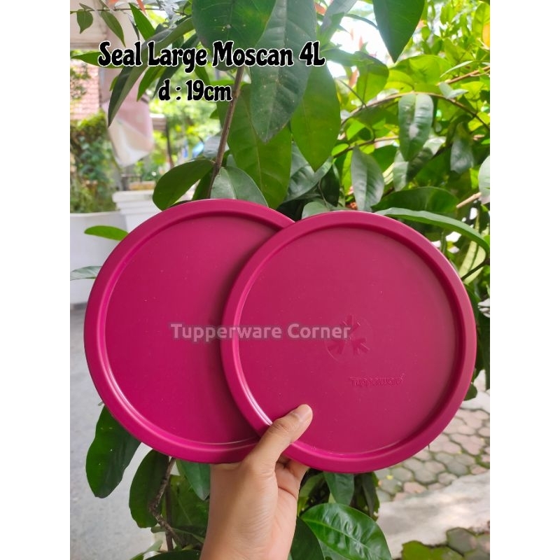 Jual TUPPERWARE // Tutup Large Moscan 4L | Shopee Indonesia