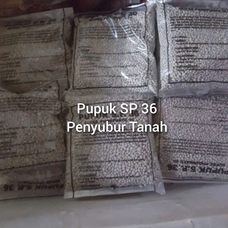 Jual Pupuk SP 36 Penyubur Tanah | Shopee Indonesia