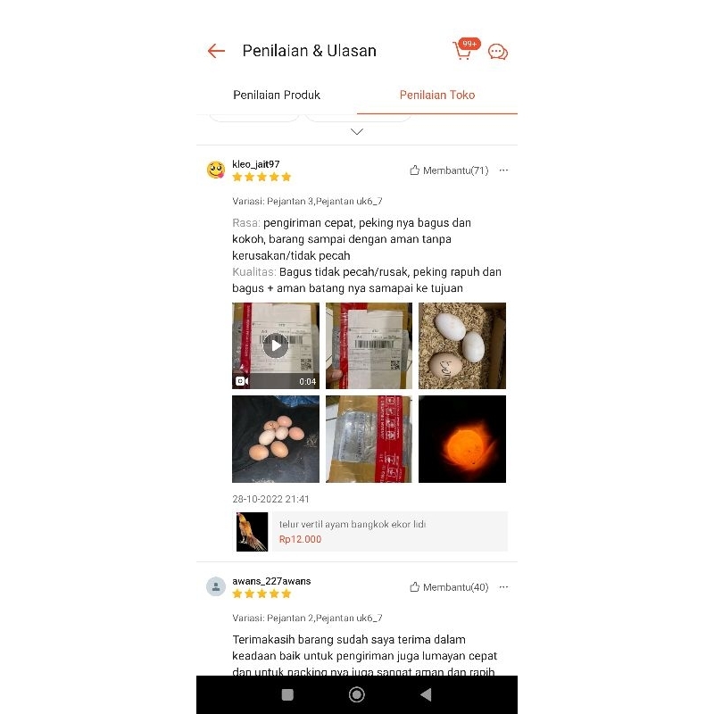 Jual Harga Telur Ayam Ras Terlengkap & Harga Terbaru Juni 2026 | Shopee ...
