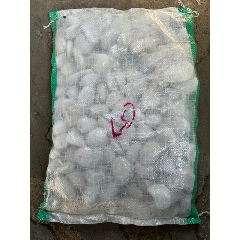 Jual Batu koral putih 9,10kg | Shopee Indonesia