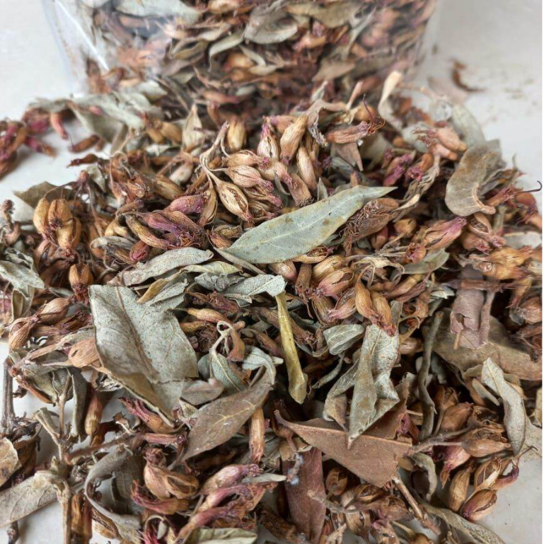 Jual Bunga Sidowayah Kering Premium 1 kg & 500 gr | Shopee Indonesia