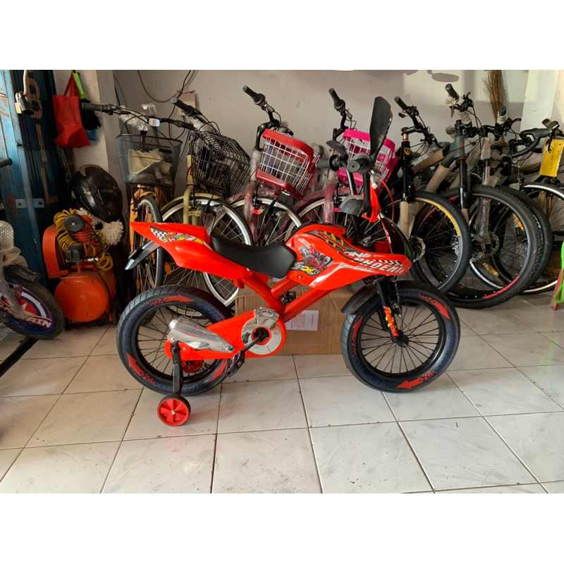 Jual Sepeda Anak Trail Phoenix 16 | Shopee Indonesia
