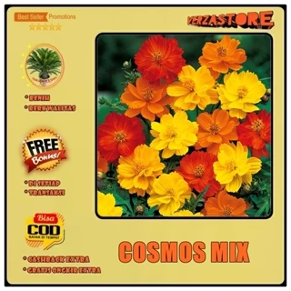 Jual Bunga Cosmos Terlengkap & Harga Terbaru Juni 2024 | Shopee Indonesia
