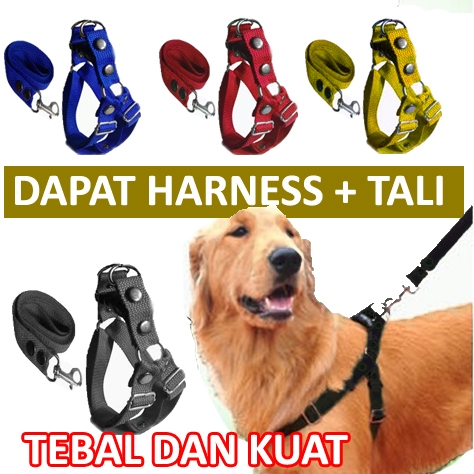 Jual Tali Harness Anjing Kuat Tebal Ukuran 150 cm Tali Harnest untuk ...