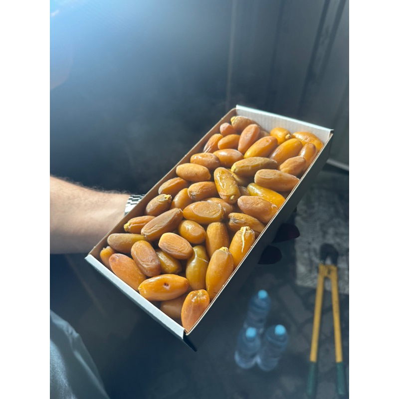 Jual Kurma Ruthob Libya 1kg Fresh kurma muda (KURMA FROZEN) | Shopee ...