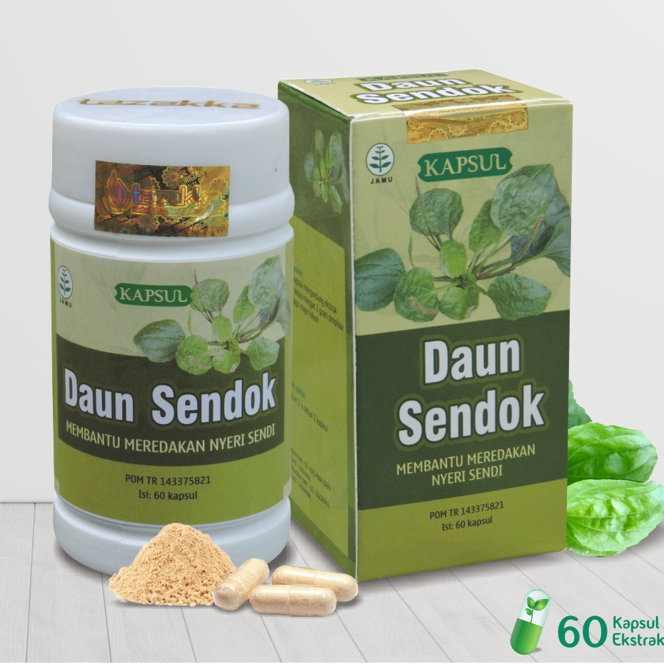 Jual Kapsul DAUN SENDOK Original Tazakka Mengobati Asam Urat Nyeri ...