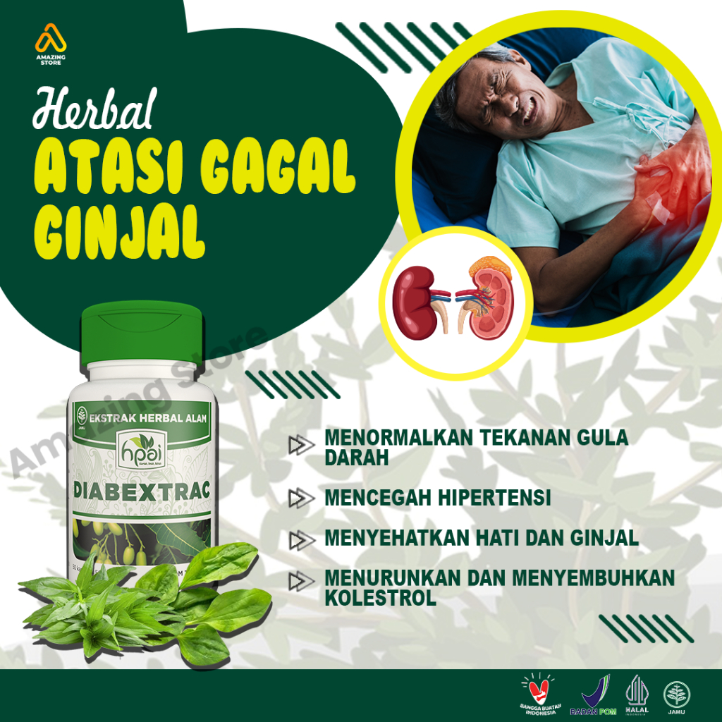 Jual DIABEXTRAC HNI HPAI OBAT DIABET OBAT DIABETES KERING OBAT GULA ...