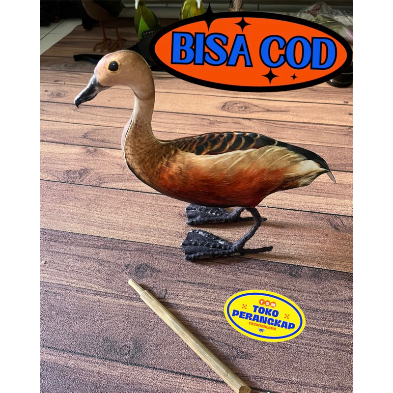 Jual Patung Manekin Burung Belibis Kembang - Jontrot Pemikat burung ...