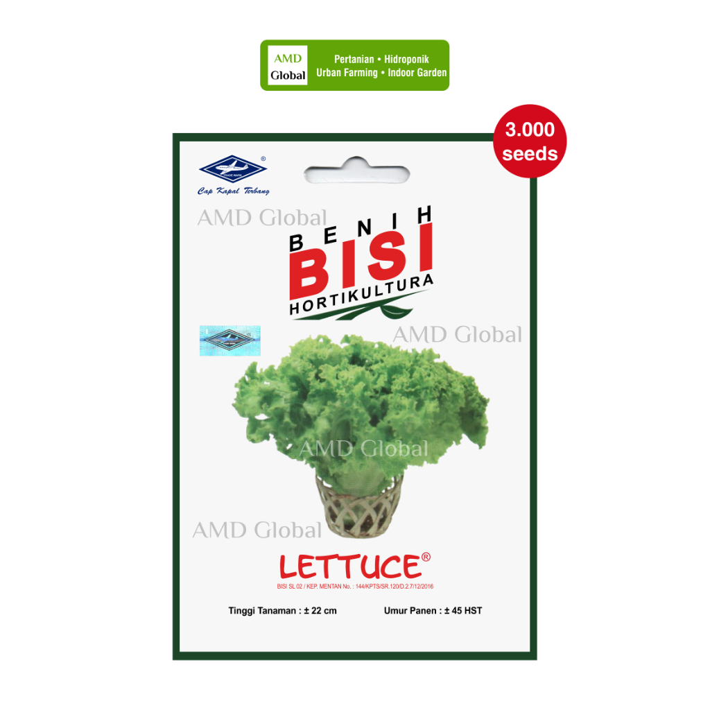 Jual Benih Selada Keriting Hijau Lettuce Bisi Cap Kapal Terbang Isi ...