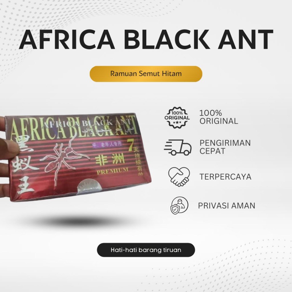 Jual Termurah Herbal Kebugaran Pria Kapsul Semut Black Ant Afrika ...