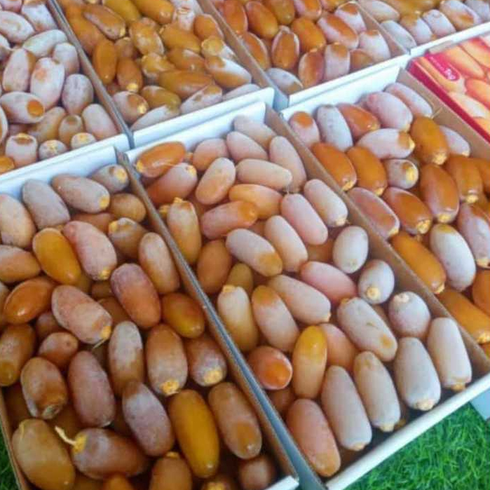 Jual Kurma Ruthob Libya Non Tangkai / Kurma Muda Libya / Kurma Muda ...
