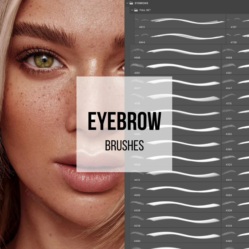 Jual Tamara WIlliams Eyebrow Photoshop Brushes Beauty Photography Edit Tools | Shopee Indonesia