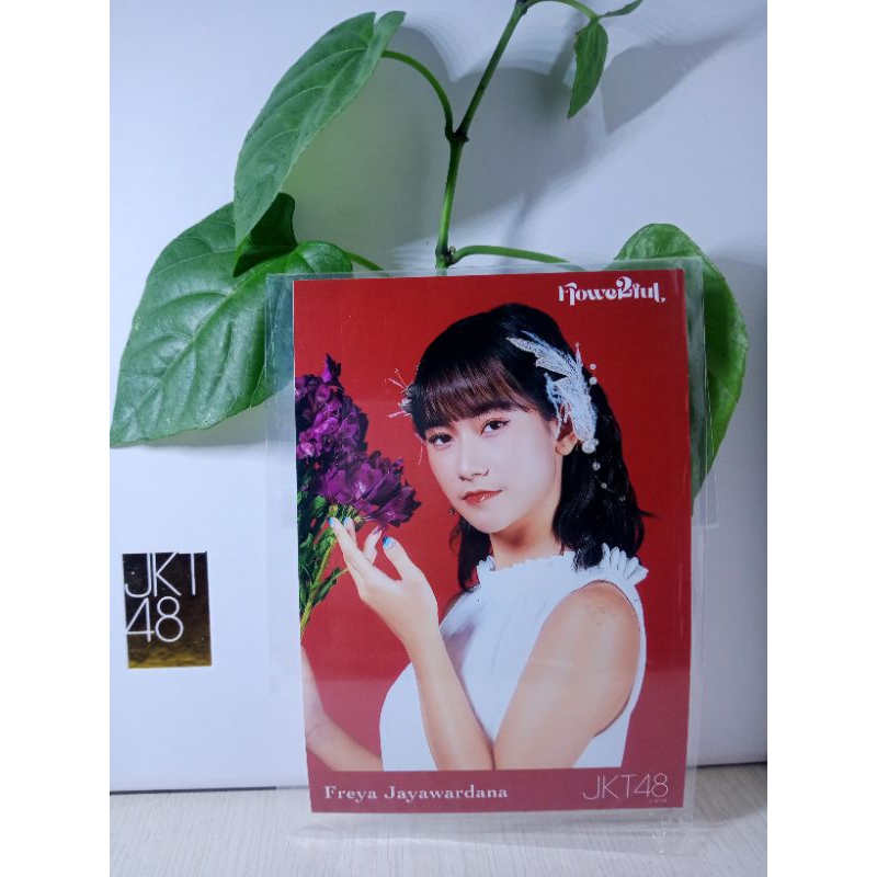 Jual photopack JKT48 flowerfull FREYA | Shopee Indonesia