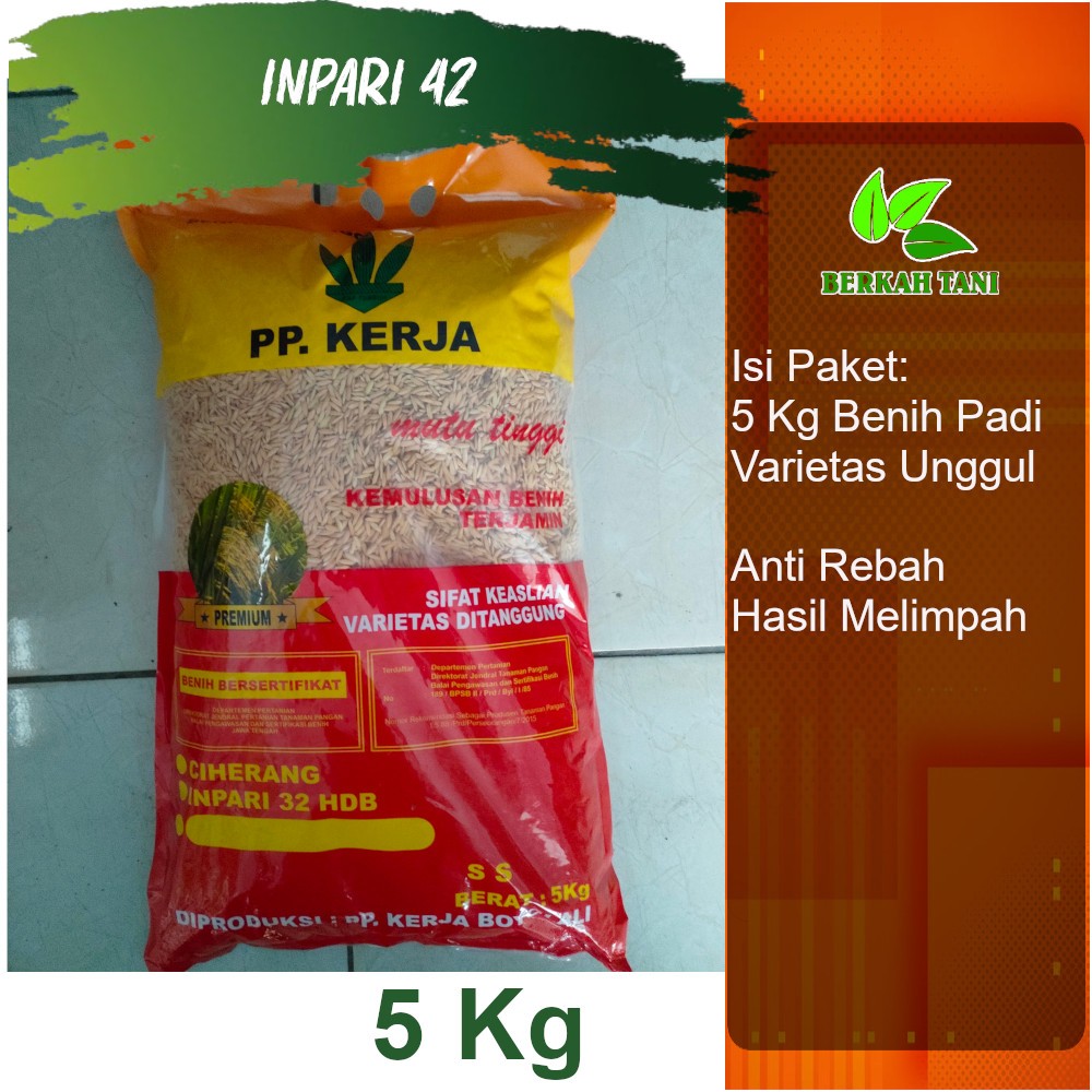 Jual Benih Padi Inpari 42 Premium Pak Tani 5 Kg | Shopee Indonesia