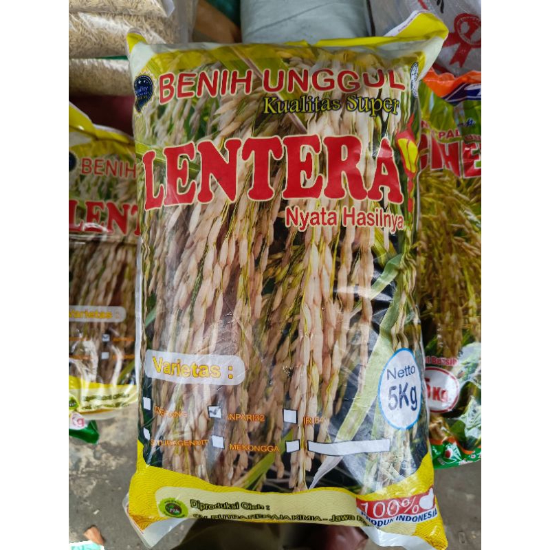 Jual Benih Padi Inpari 32 Lentera Label Ungu | Shopee Indonesia