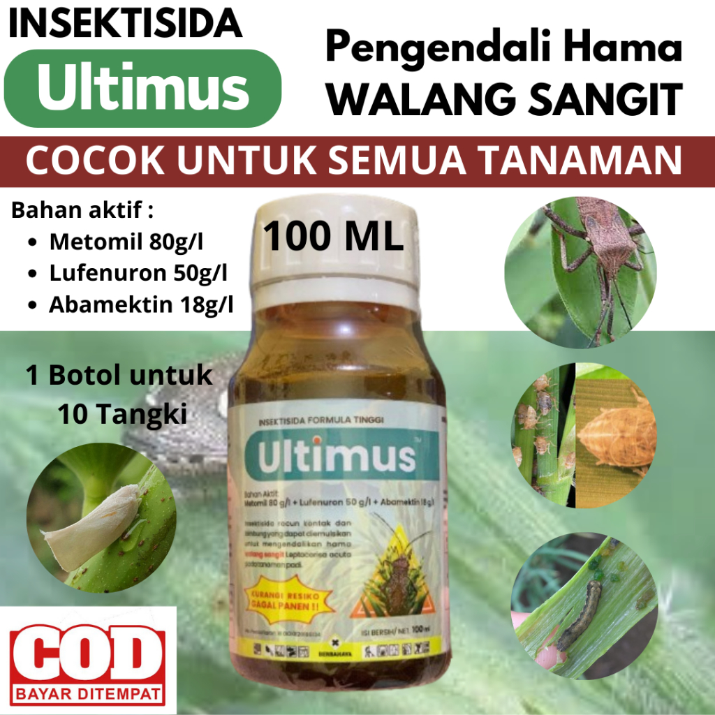 Jual Pengendali hama WALANG SANGIT pada tanaman padi - ULTIMUS | Shopee ...