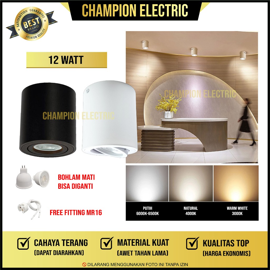 Jual Lampu Spotlight Plafon Tempel LED 12W - Downlight Sorot Terang ...