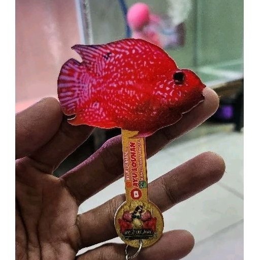 Jual untulan wayang IKAN PEROT | Shopee Indonesia