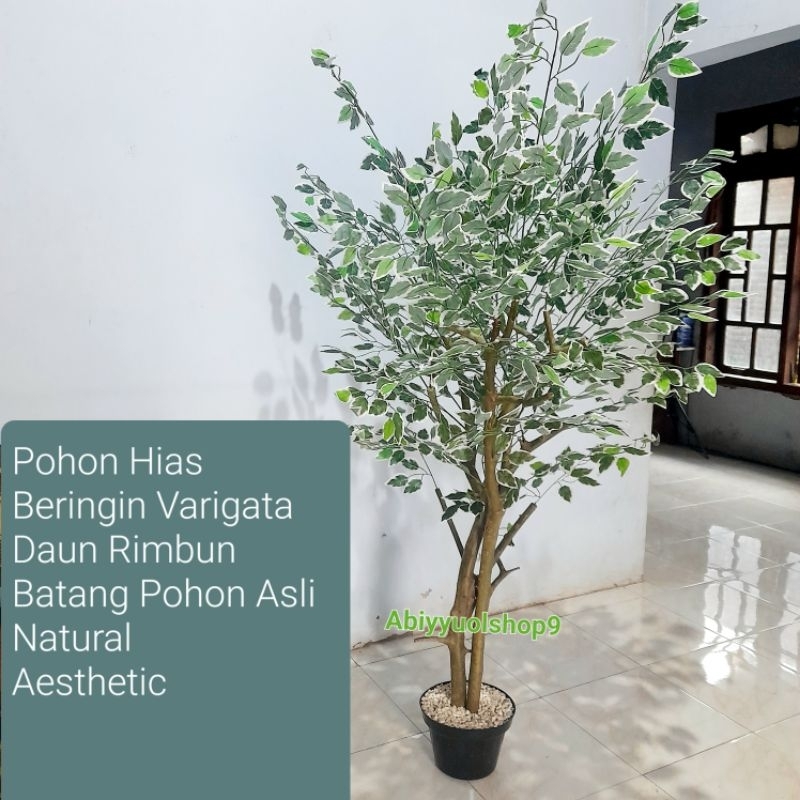 Jual NEW ARRIVAL Pohon Hias Artificial Beringin Varigata 4 batang pohon ...