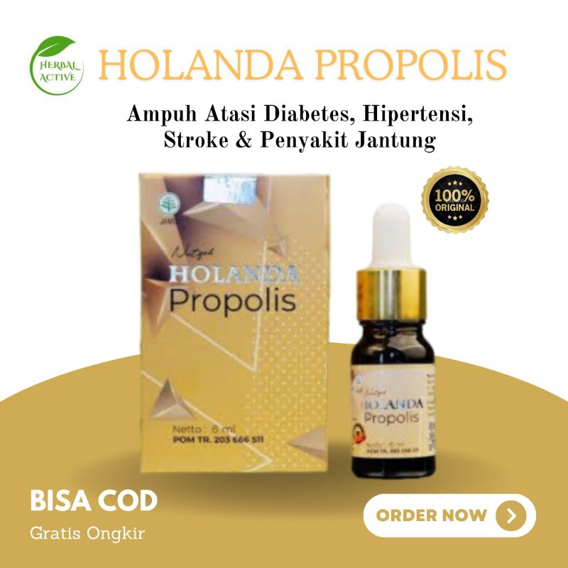 Jual Holanda Propolis Asli Obat Diabetes Dan Hipertensi Original Bpom ...