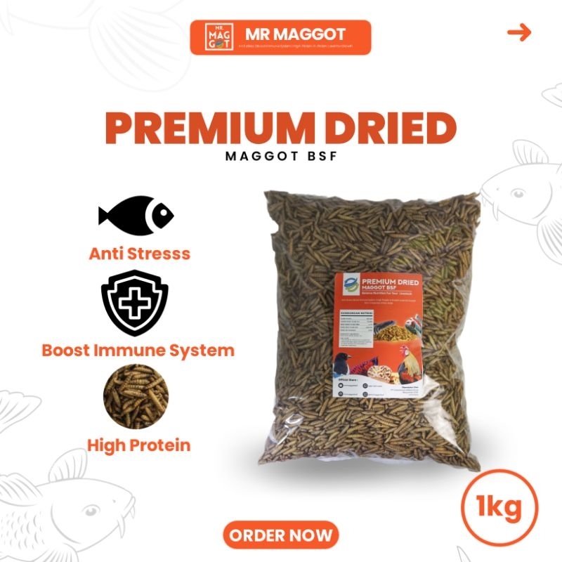 Jual MR MAGGOT - Maggot KERING 1Kg PREMIUM PAKAN KOI/ CHANA/ KURA/ARWANA | Shopee Indonesia