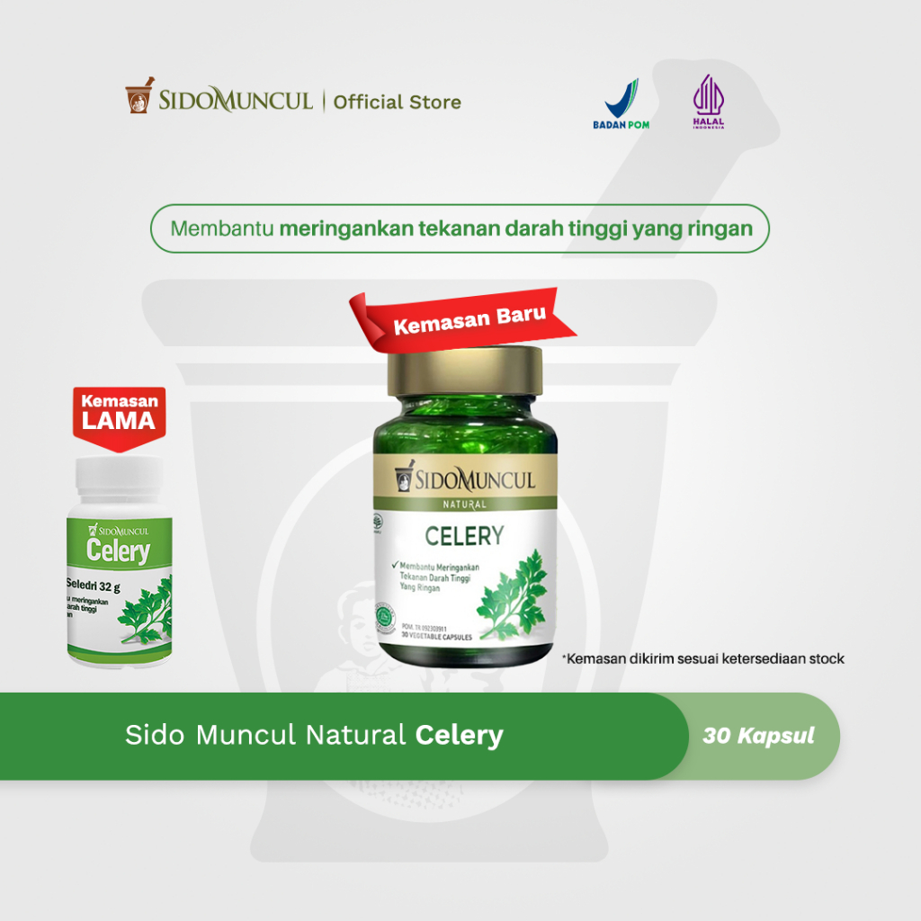 Jual Sido Muncul Natural Herbal Celery 30 Kapsul - Membantu Meringankan ...