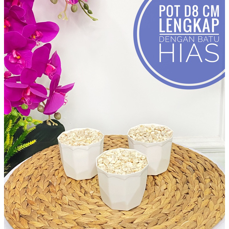 Jual POT PUTIH MINI D8 CM LENGKAP DENGAN BATU HIAS | Shopee Indonesia