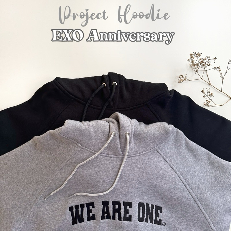 Jual EXO ANNIVERSARY | Shopee Indonesia